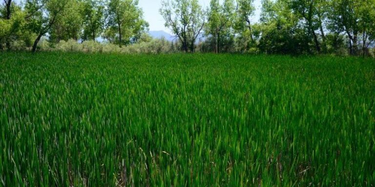 A Couples Guide Of 12 Fun Things To Do In Appleton, Wisconsin - Love ...